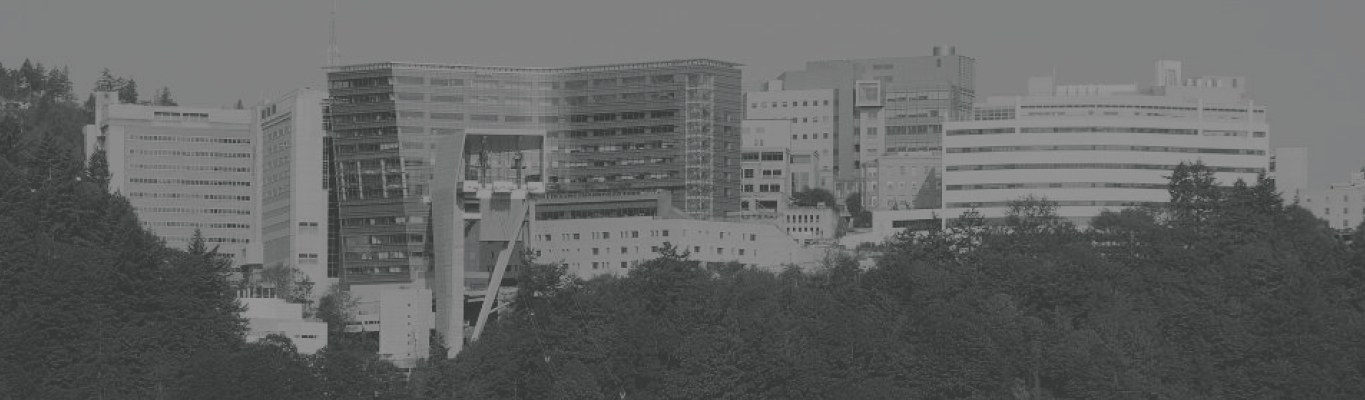 New Faculty Foundations: Building for Success | OHSU